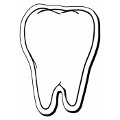 Tooth Shaped Magnets | Tooth Refrigerator Magnets