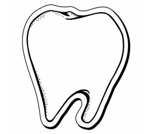 1.68x2 Custom Tooth Shaped Magnets 20 Mil - Magnets Of All Shapes ...