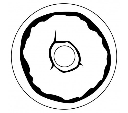 2x3.5 Custom Printed Donut Shaped Magnets 20 Mil - Magnets Of All ...