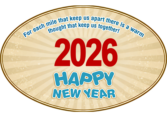 5x3.5 Custom Oval Shape New Year Magnets 20 Mil