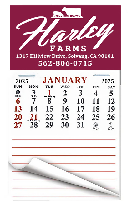 Custom Printed 3.5x6 Inch Calendar with Note Pad Magnets