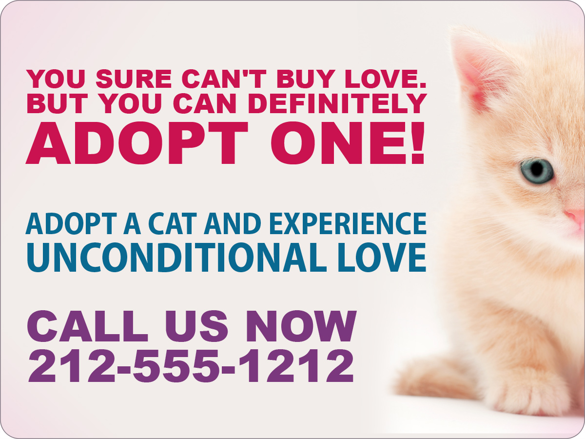 24x18 Custom Cat Adoption Magnetic Car Truck Auto Vehicle Signs Magnets ...