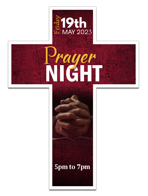 4.79x6.69 Custom Cross Shaped Magnets 20 Mil