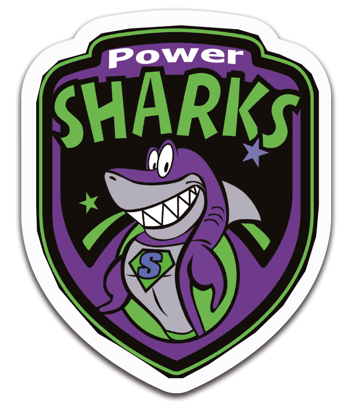 4x5 Custom Shield Shaped Magnets 20 Mil