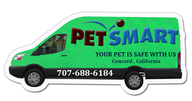 5.03x2.29 Custom Van Shaped Magnets 20 Mil