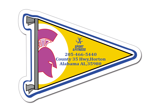 6x4 Custom Pennant Shaped Magnets 20 Mil