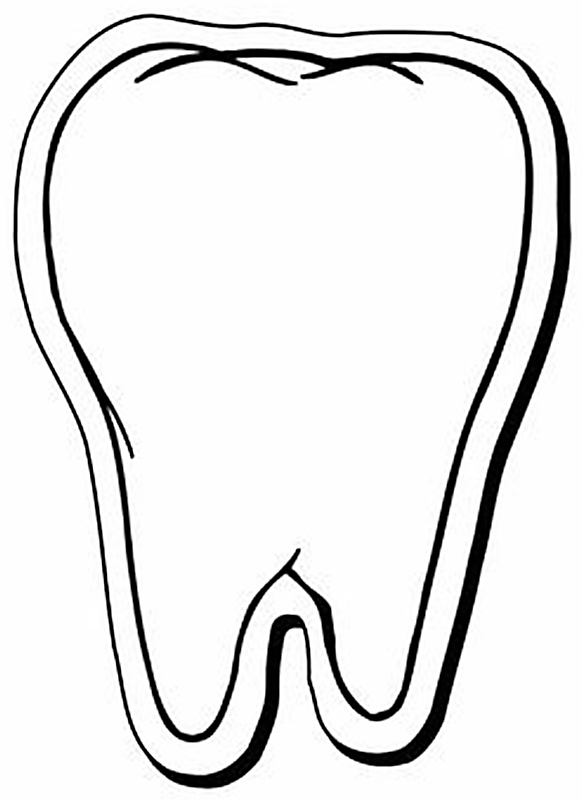 2.5x3.5 Custom Tooth Shaped Magnets 20 Mil