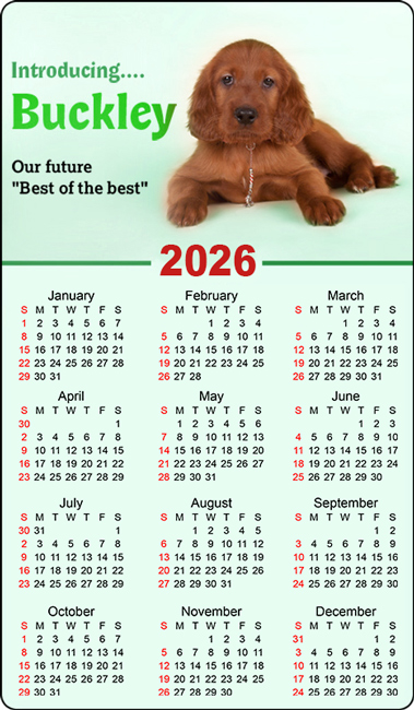 3.5x6 Custom Calendar Announcement Magnets 20 Mil Round Corners